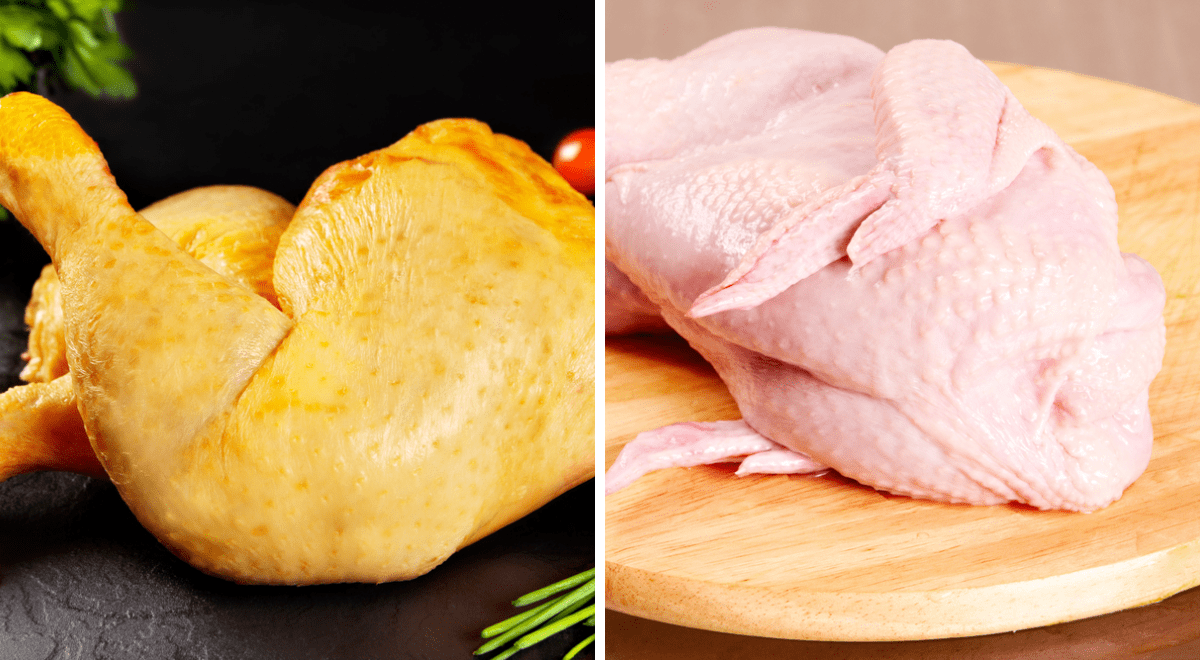 Pollo Amarillo vs. Blanco: ¿Cuál es Mejor para Tu Salud? - Blog Plaza ...